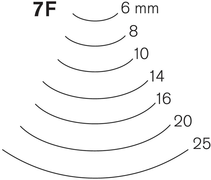 Pfeil Fishtail Gouges - Classic Hand Tools Limited