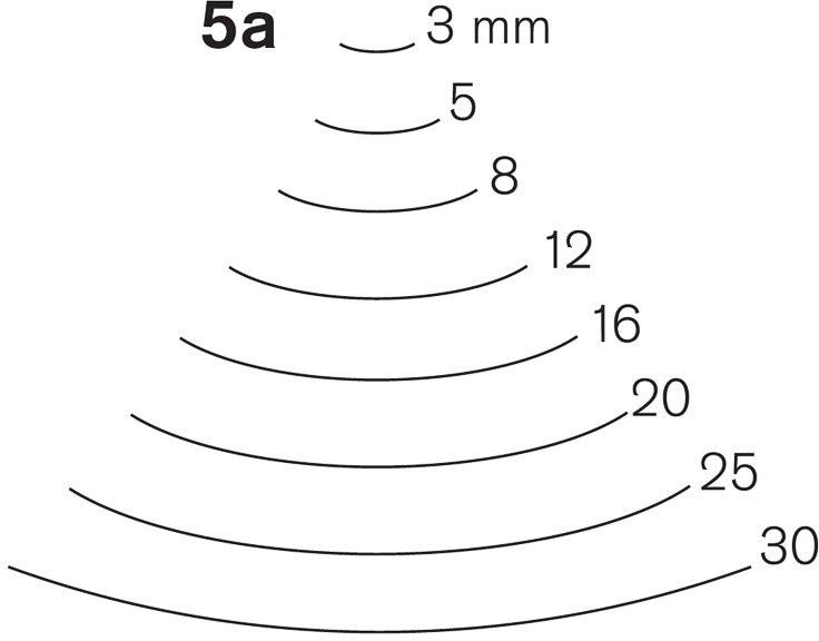 Pfeil Medium Sized Tools - Spoon Gouges - Classic Hand Tools Limited