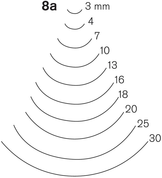 Pfeil Medium Sized Tools - Spoon Gouges - Classic Hand Tools Limited