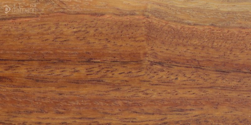 Dalmann Wild Mango - Classic Hand Tools Limited